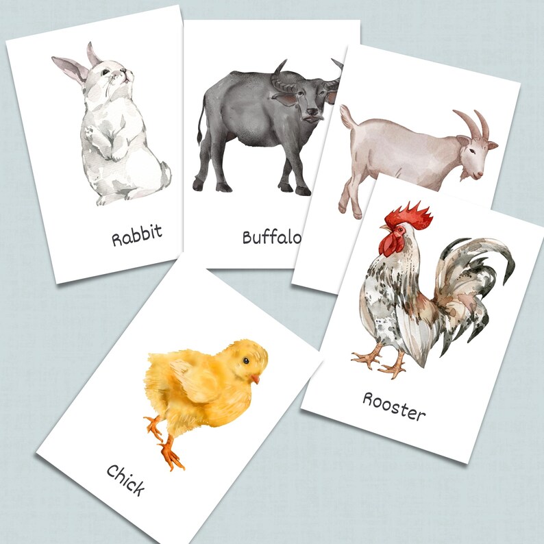 16 Farm Animals Flashcards Printable Animals Cards Animal Collection ...