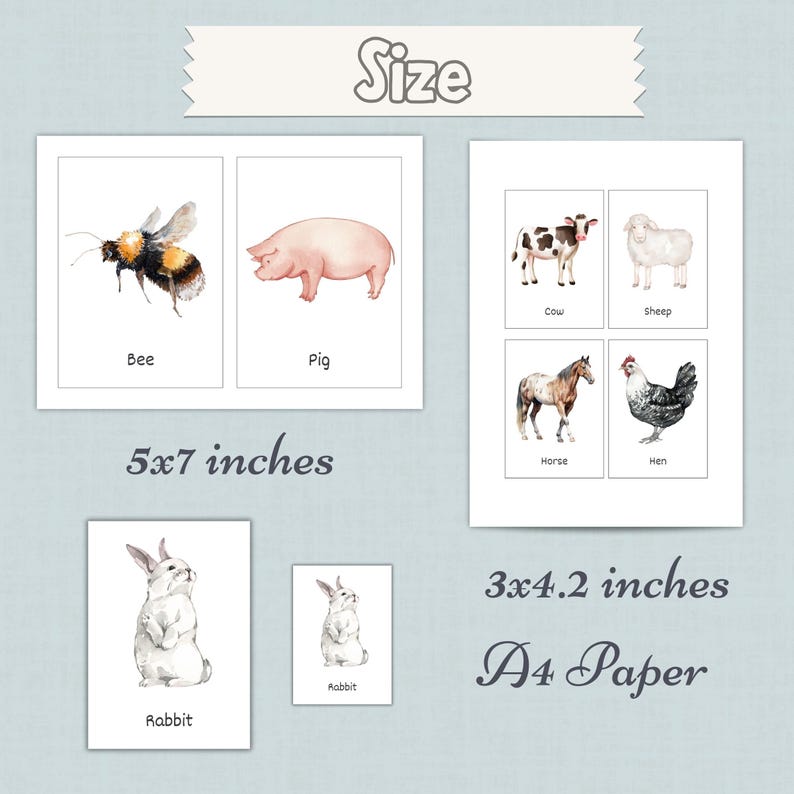 16 Farm Animals Flashcards Printable Animals Cards Animal Collection ...