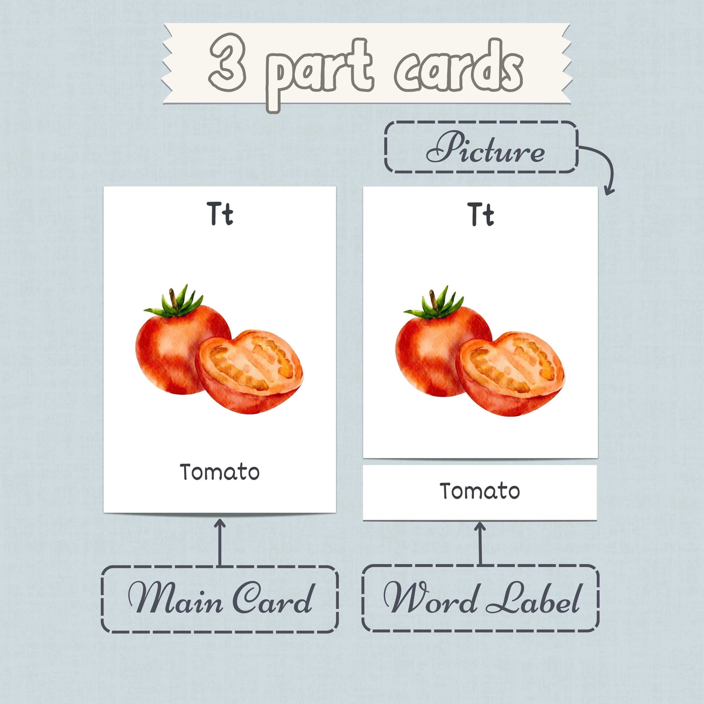 26 ABC Vegetables Flashcards Printable Alphabet Cards Vegetables ...