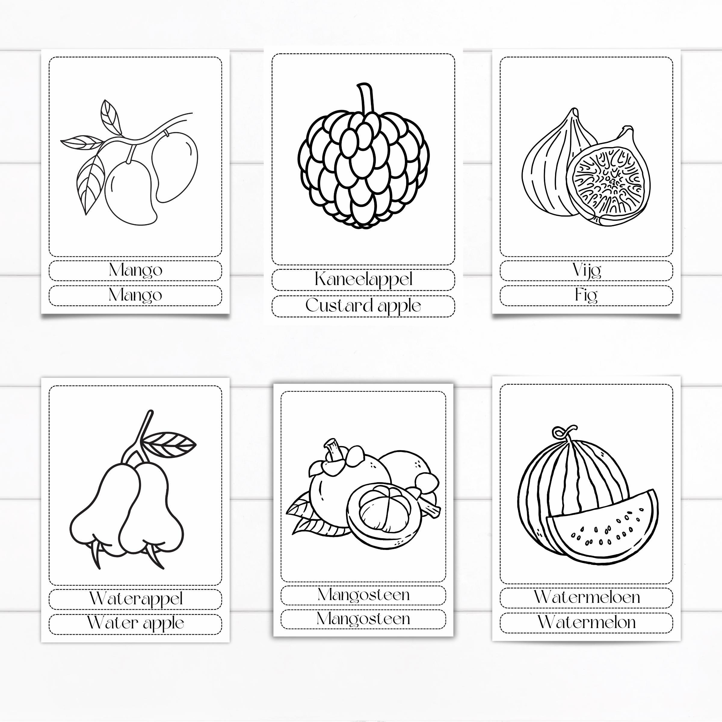 Bilingual Fruit Coloring Pages Printable English-dutch Pages Fruit ...