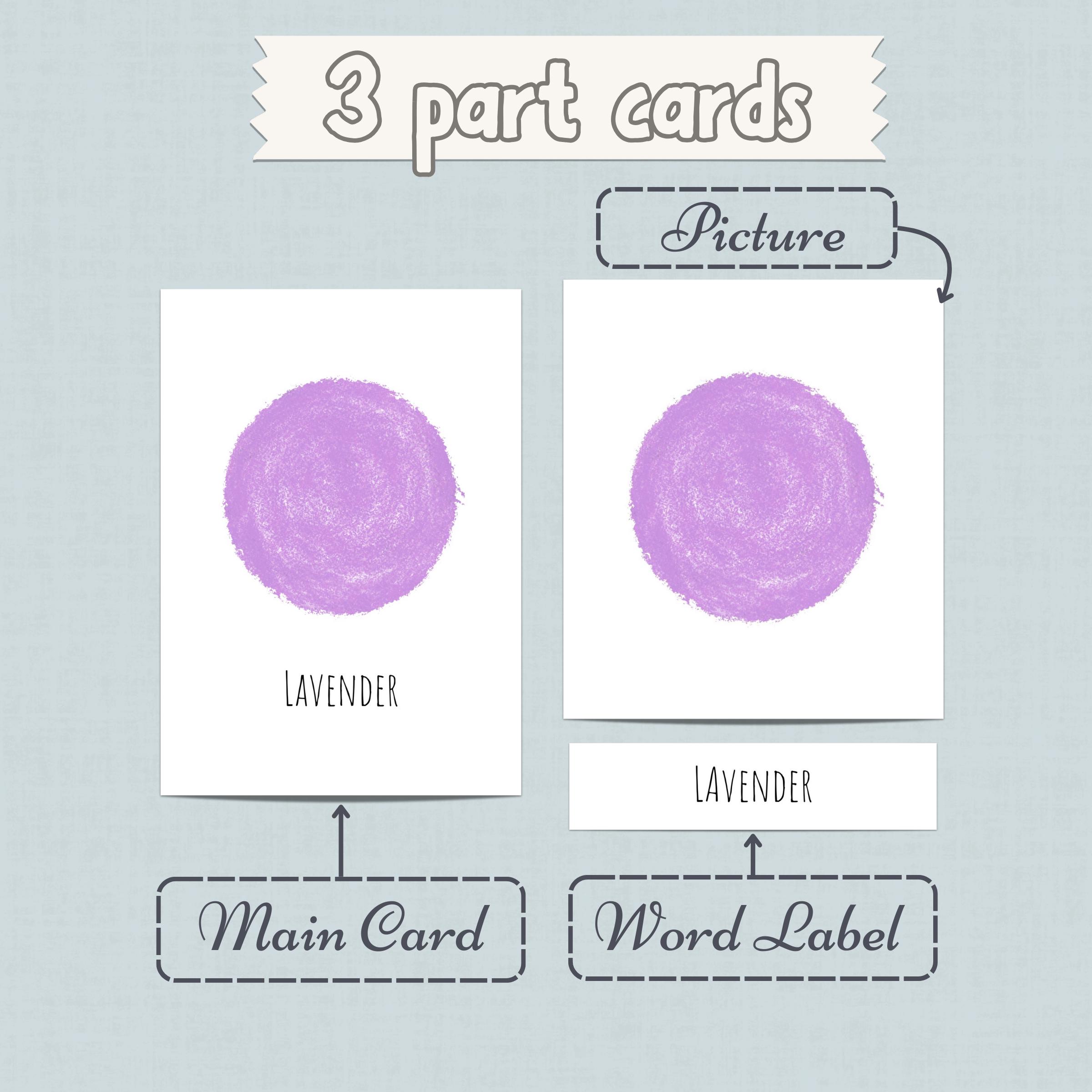 16 Crayon Color Flashcards Printable Montessori Cards Crayon Color ...