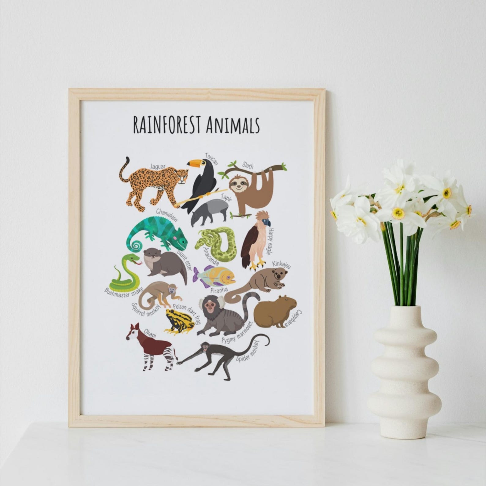 Rainforest Animals Poster Printable Animals Educational Poster ...