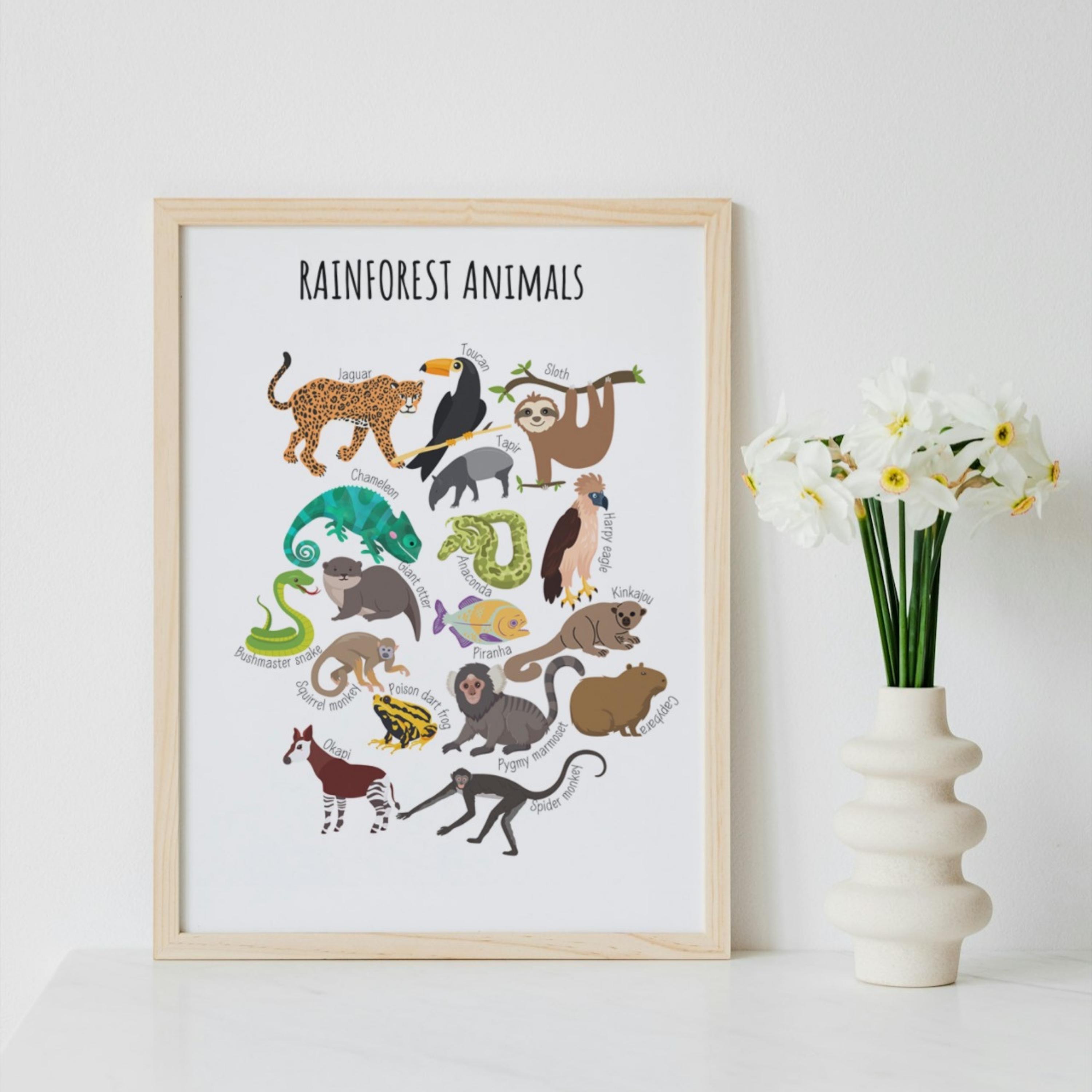 Rainforest Animals Poster Printable Animals Educational Poster ...
