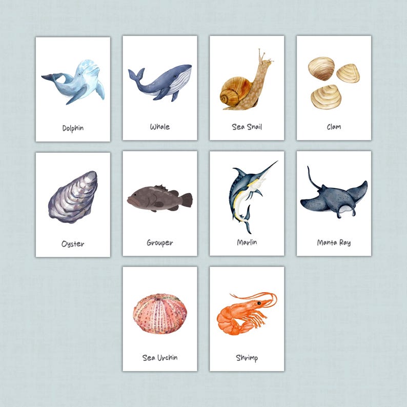 30 Ocean Animals Flashcard Printable Montessori Flashcards Fish Ocean ...