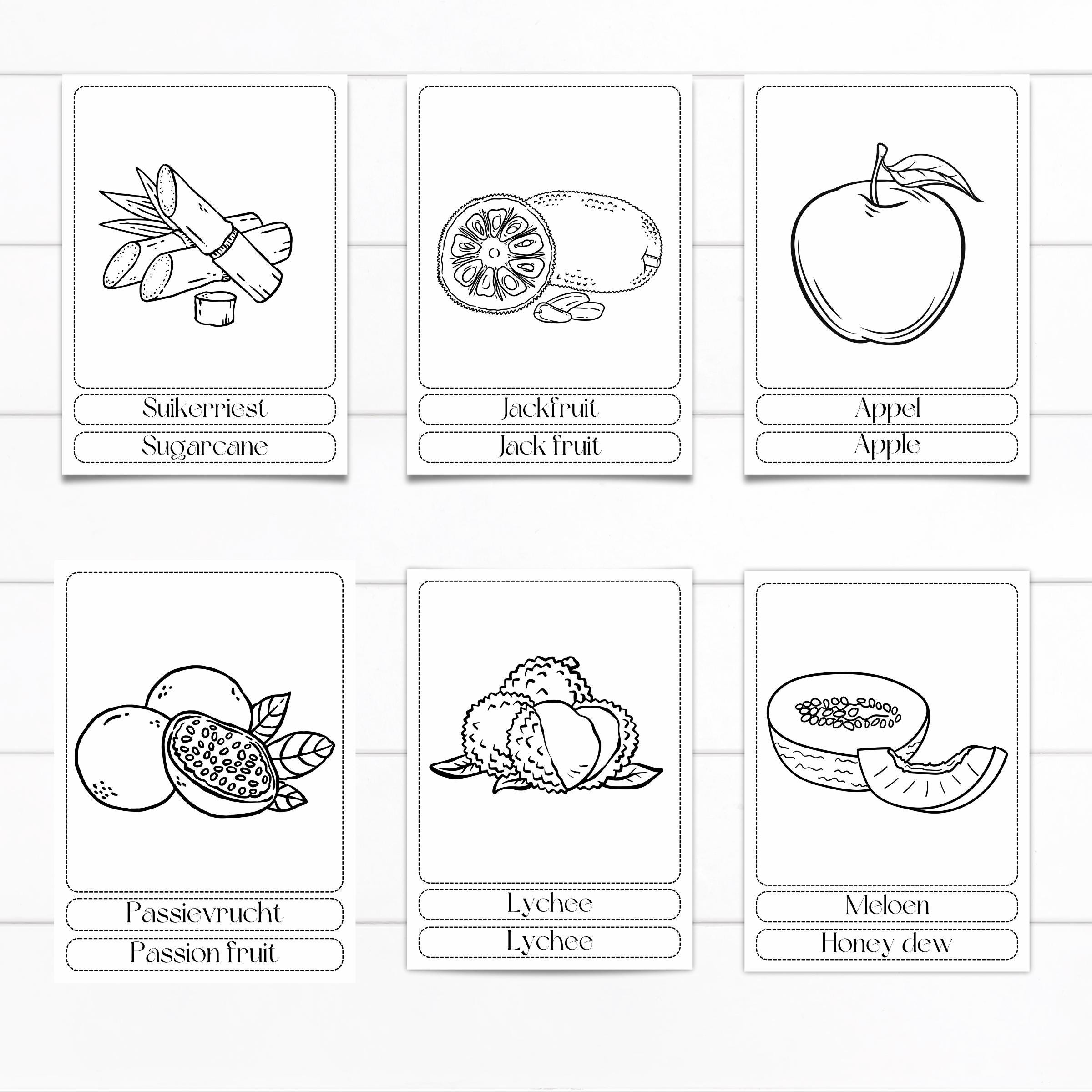 Bilingual Fruit Coloring Pages Printable English-dutch Pages Fruit ...