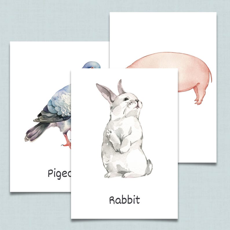 16 Farm Animals Flashcards Printable Animals Cards Animal Collection ...