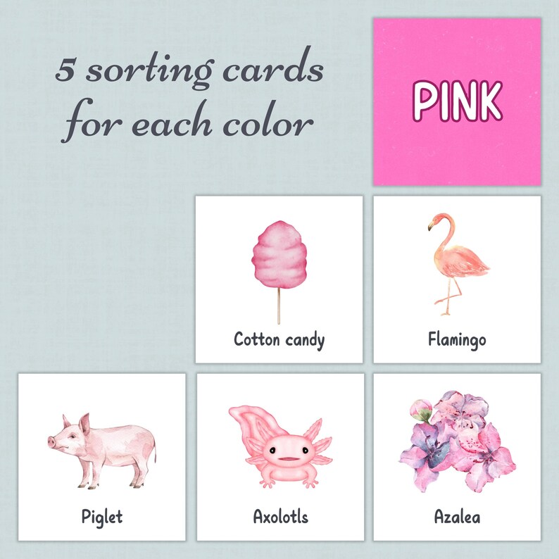 Set of 2 Sorting Flashcards Printable Flashcards Color Sorting Shape ...