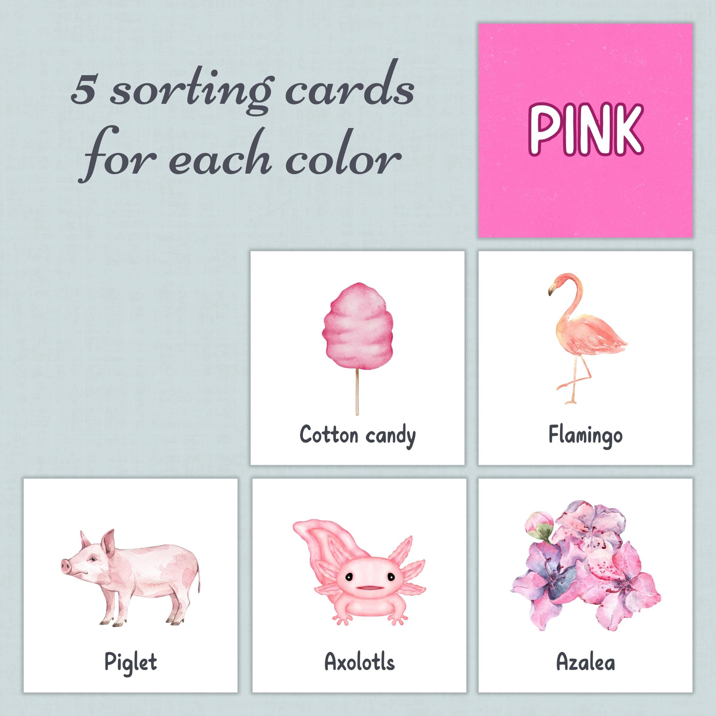 Set of 2 Sorting Flashcards Printable Flashcards Color Sorting Shape ...