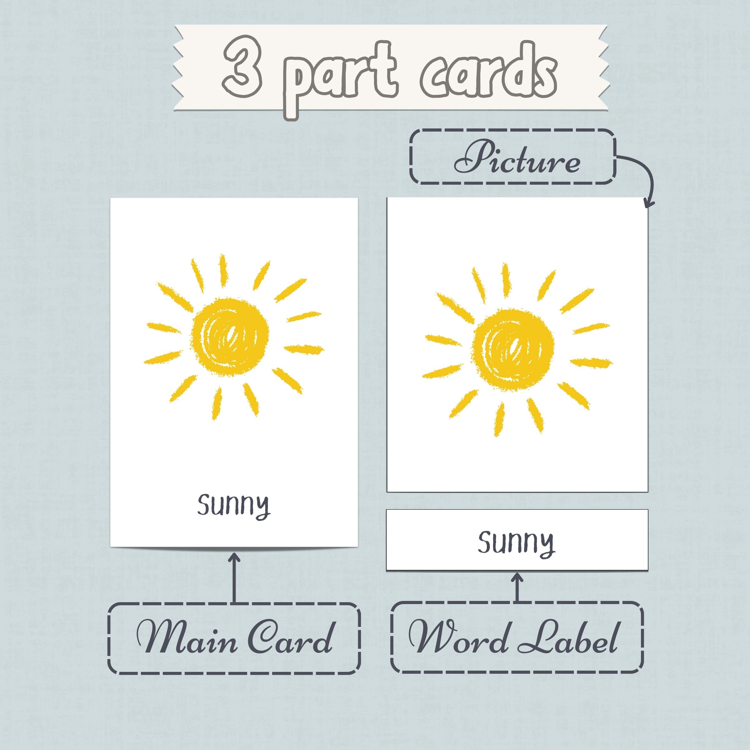12 Weather Flashcards Printable Educational Cards Montessori Weather ...