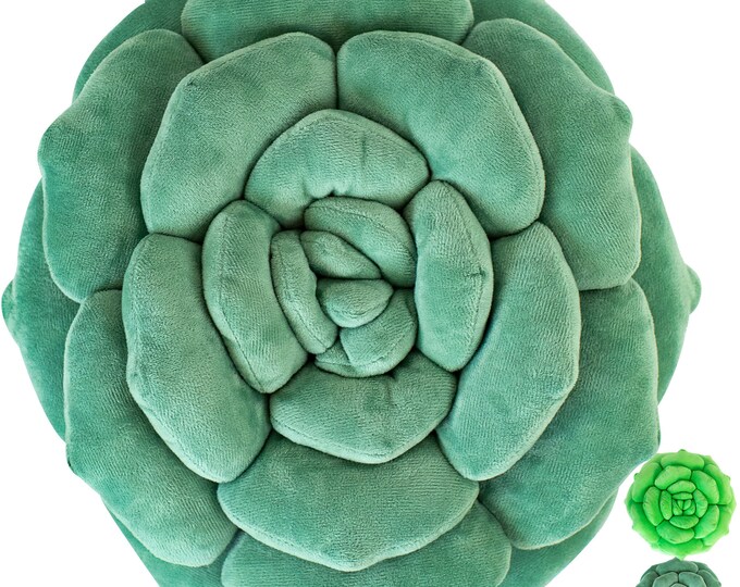 Succulent Pillow, Flower Pillow, 3d Succulent Pillow Sage, Cactus ...