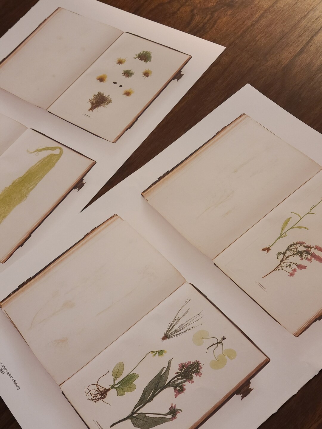 Set of Two, Creating a Natural Image in a Print - Etsy
