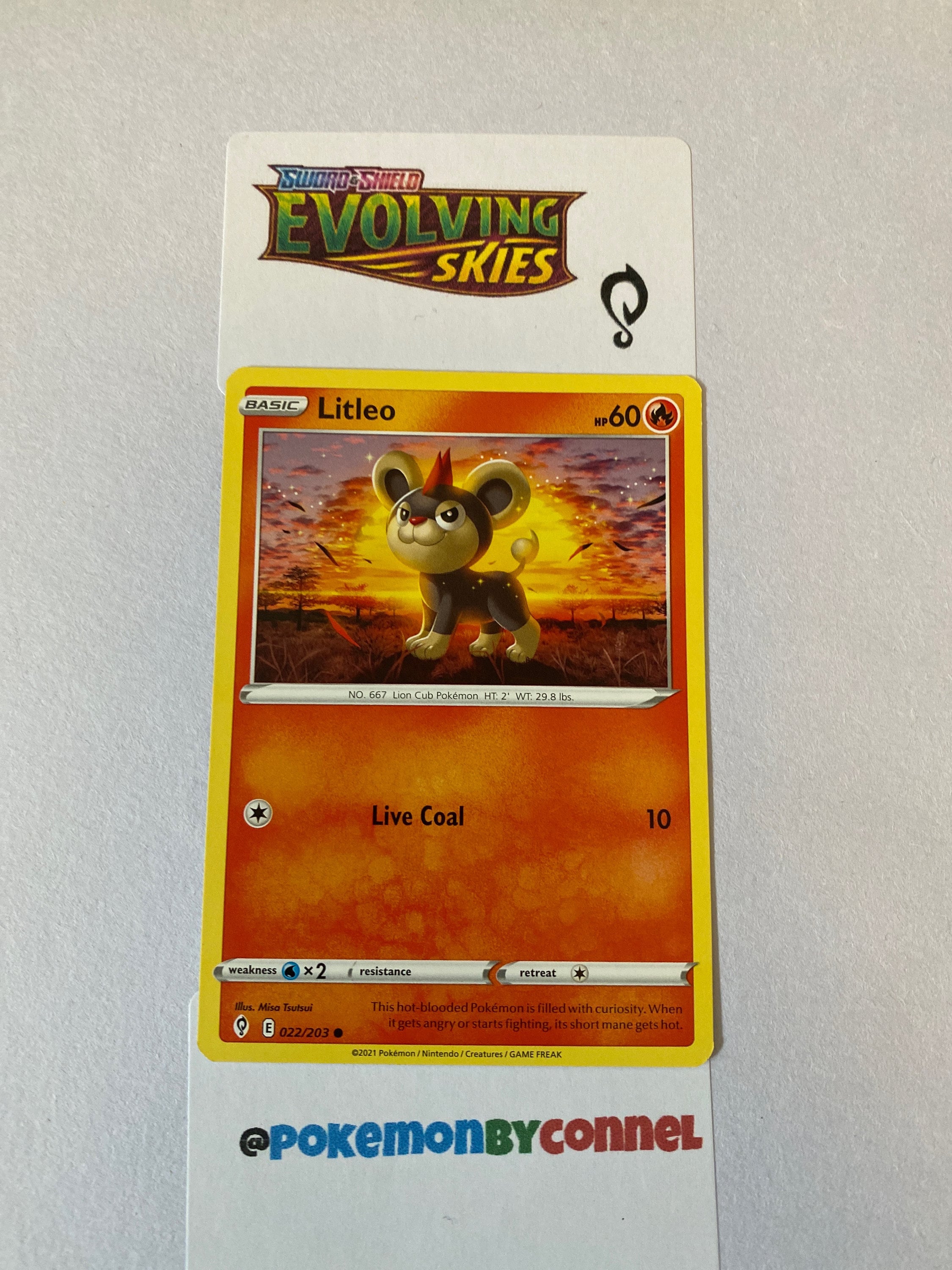 Pokemon Litleo Card