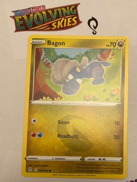 Bagon Card