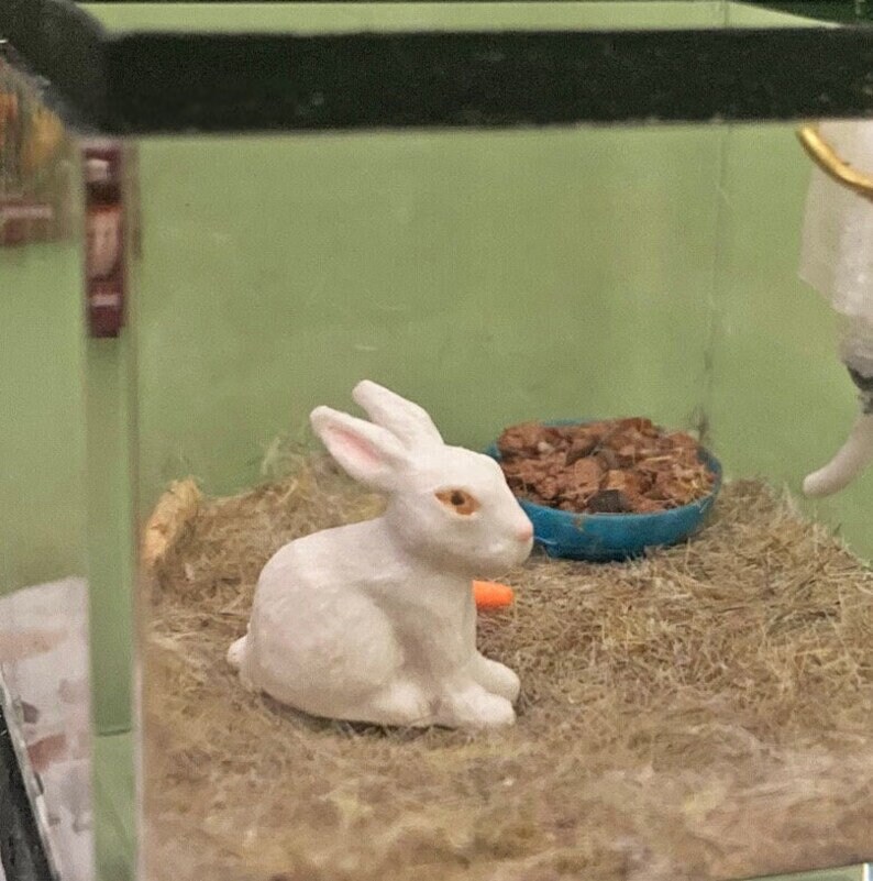 Dollhouse Pet Rabbit in Cage or Tank | Dollhouse Bunny | Miniature ...