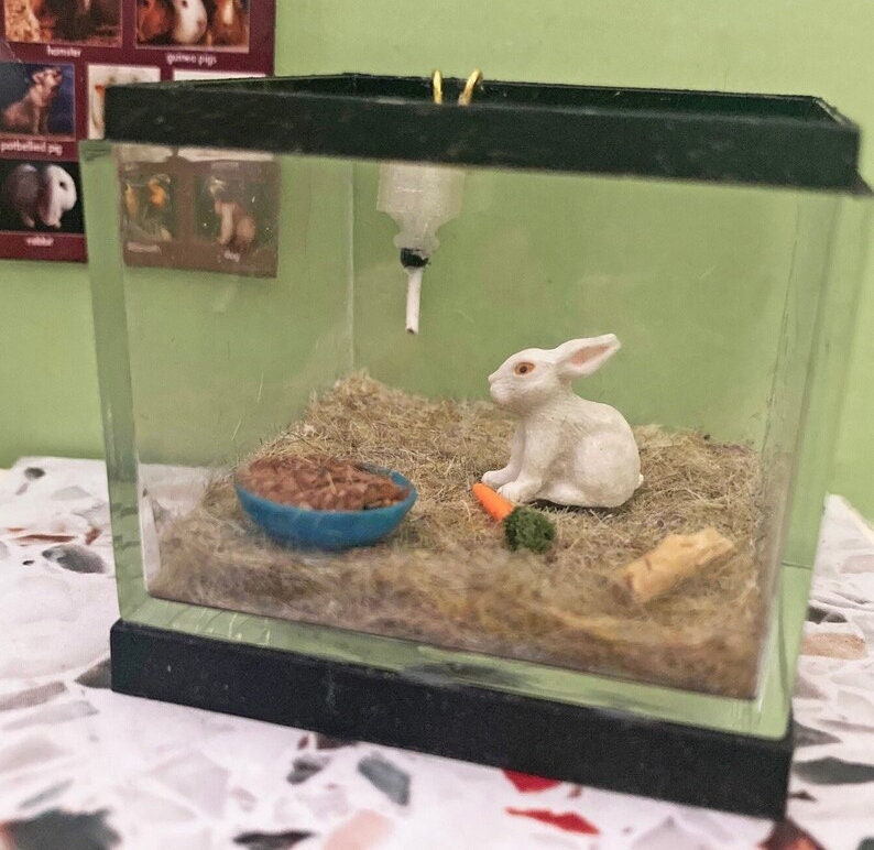 Dollhouse Pet Rabbit in Cage or Tank Dollhouse Bunny - Etsy
