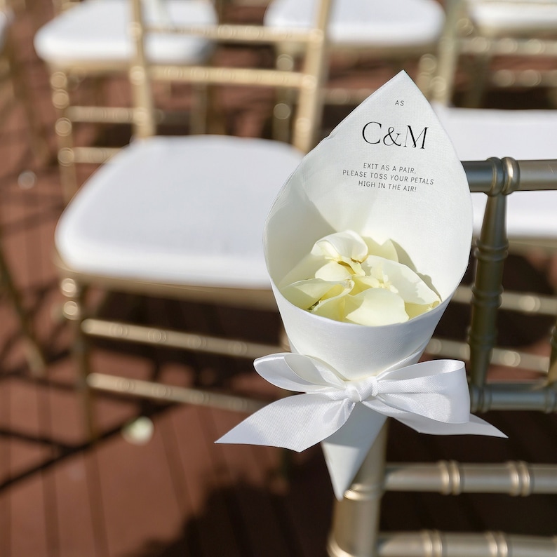 Wedding Cone Template for Petal Toss, DIY Editable Confetti Paper Cone ...