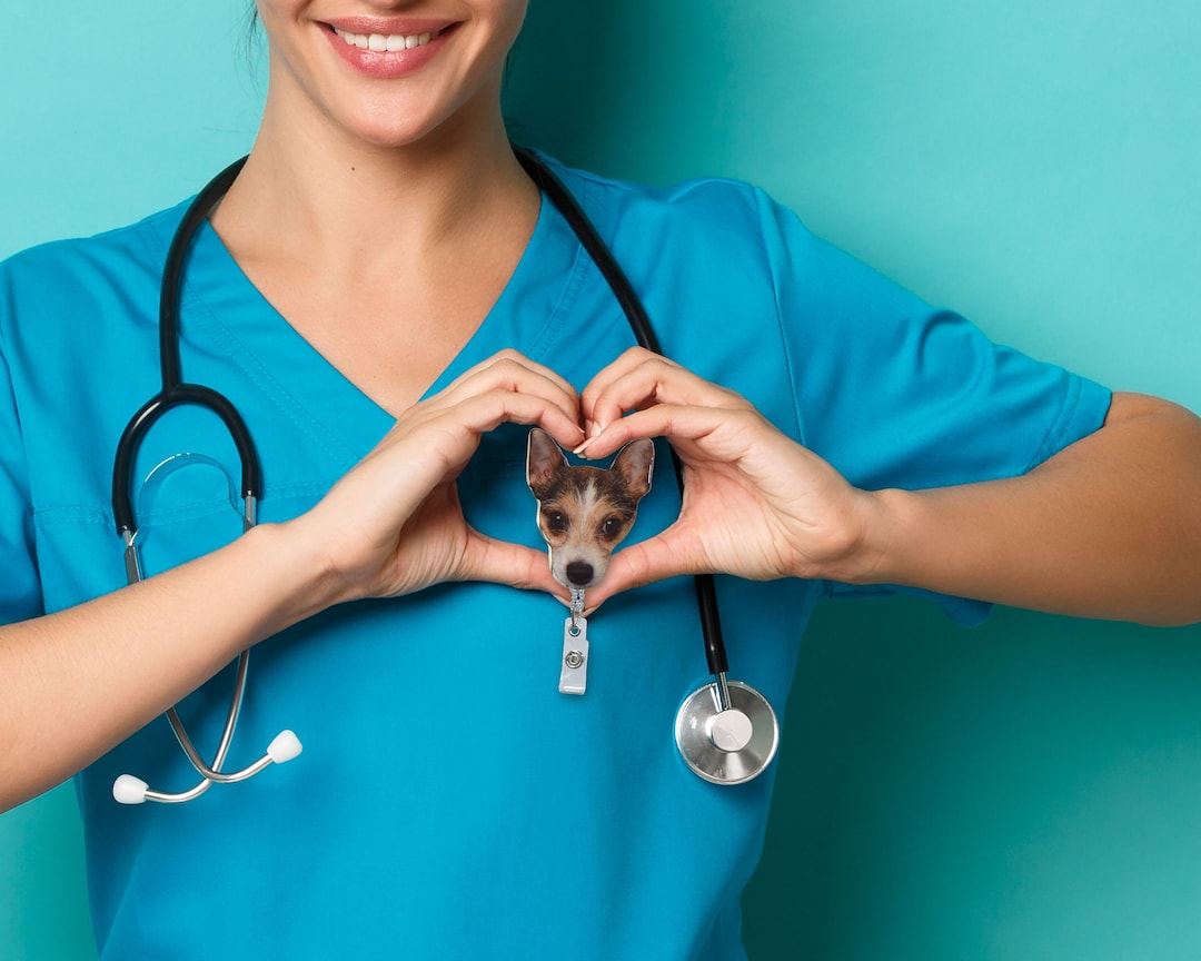 Pet Badge Reel Custom Pet Badge Reel Custom Dog Face Custom Cat Face ...