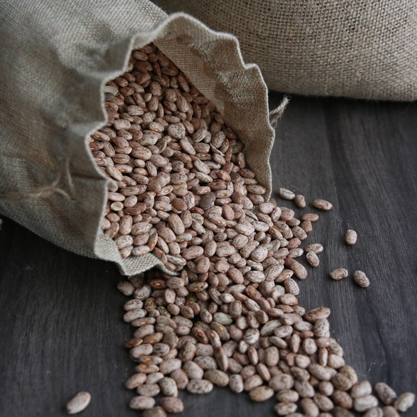 Pinto Beans Etsy