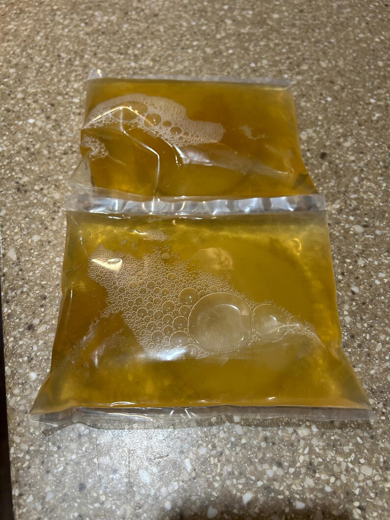 Live Kombucha SCOBY With Starter Tea- Organic, Fresh, and Ready to Brew ...