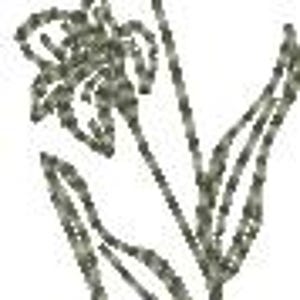 Reem Name Embroidery File: Calligraphy Art (digital Download) - Etsy