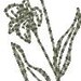 Reem Name Embroidery File: Calligraphy Art (digital Download) - Etsy