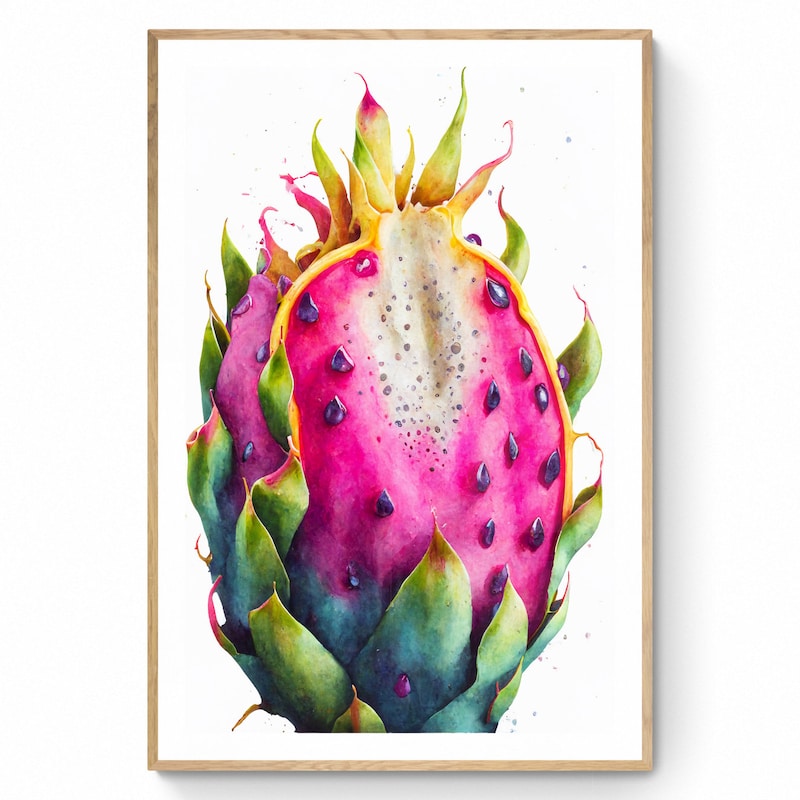 Dragon Fruit Plant - Etsy New Zealand