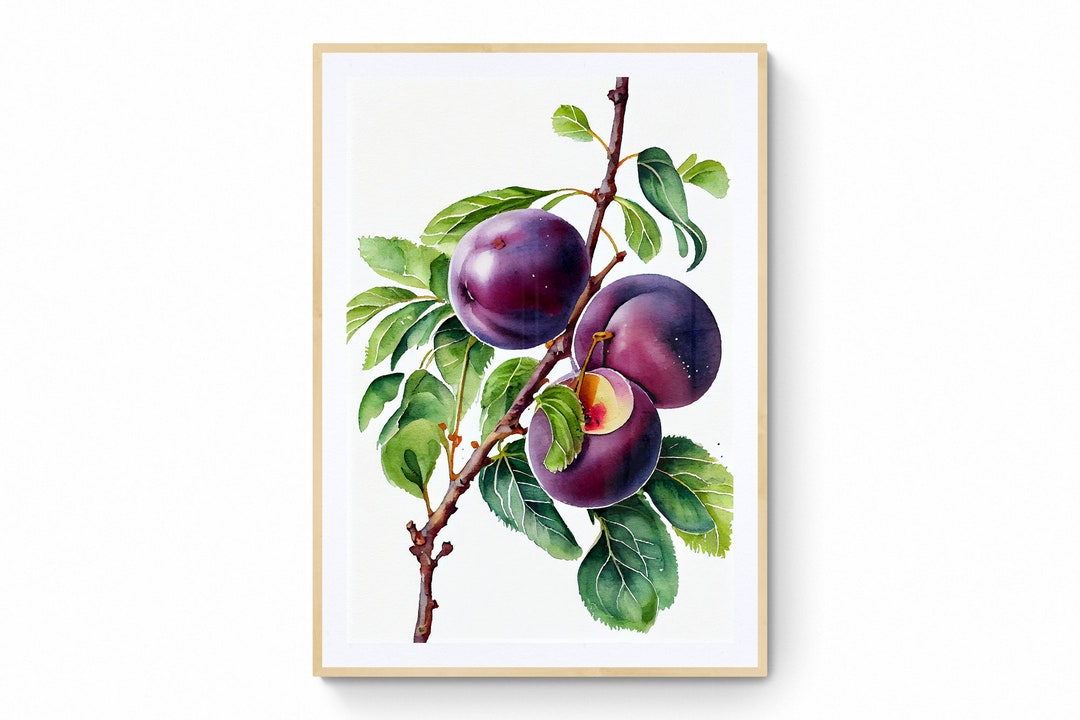 Plum Fruit Wall Art, Fruit Printable Art, Plum Print, Fruit Market ...