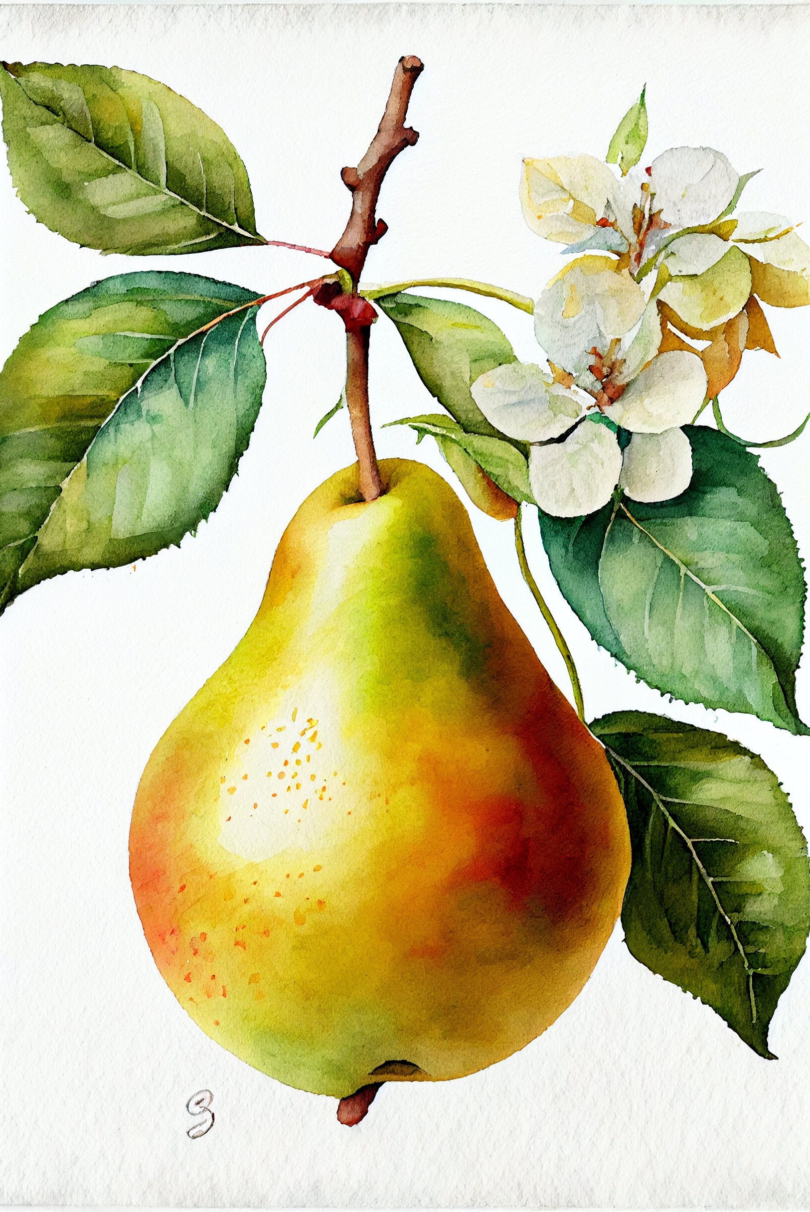 Pear Fruit Wall Art, Fruit Printable Art, Pear Print, Fruit Market ...