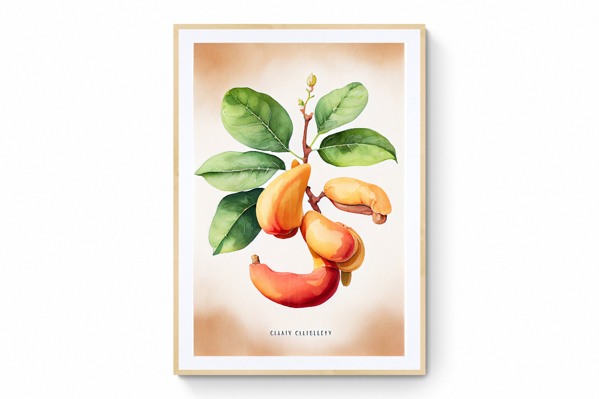 Cashew Fruit Drawing