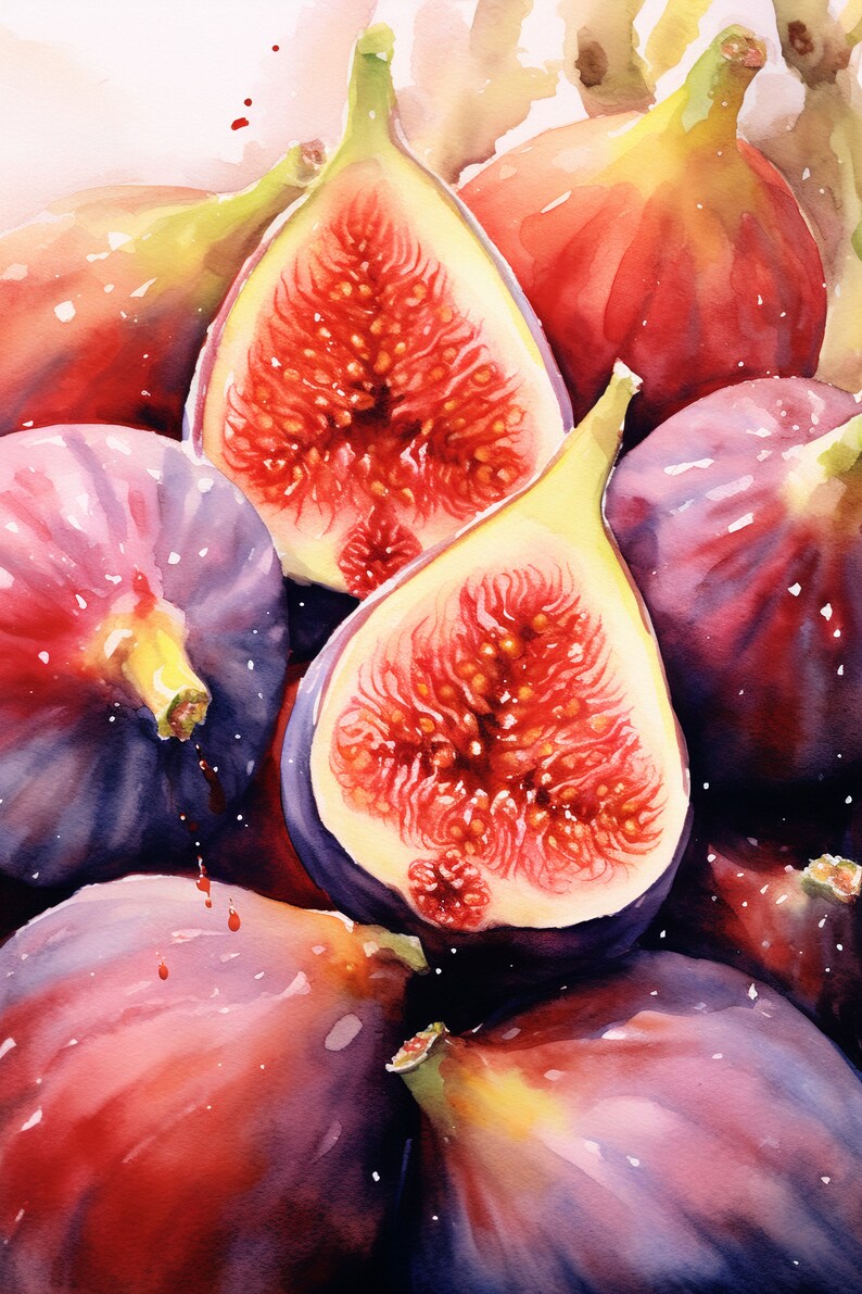 Fig Fruit Wall Art Fruit Printable Art Fig Print Fruit - Etsy