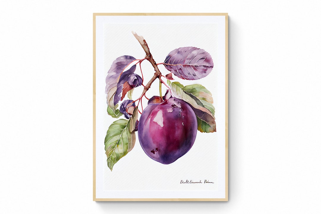 Damson Fruit Wall Art, Fruit Printable Art, Damson Print, Fruit Market ...