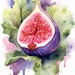 Fig Fruit Wall Art, Fruit Printable Art, Fig Print, Fruit Market Print ...