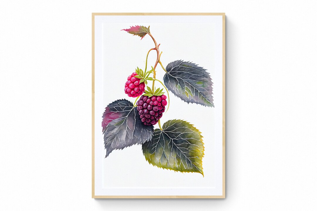 Logan Berry Fruit Wall Art, Fruit Printable Art, Logan Berry Print ...