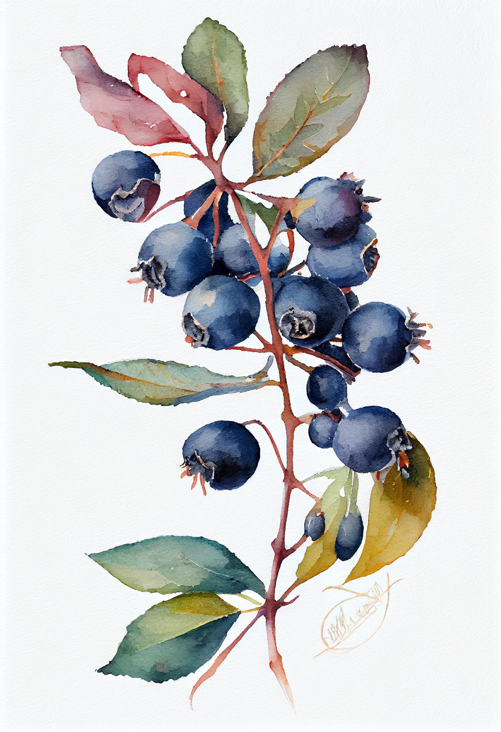 Blueberry Fruit Wall Art, Fruit Printable Art, Blueberry Print, Fruit ...