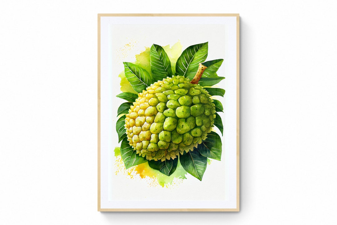 Breadfruit Wall Art, Fruit Printable Art, Breadfruit Print, Fruit ...