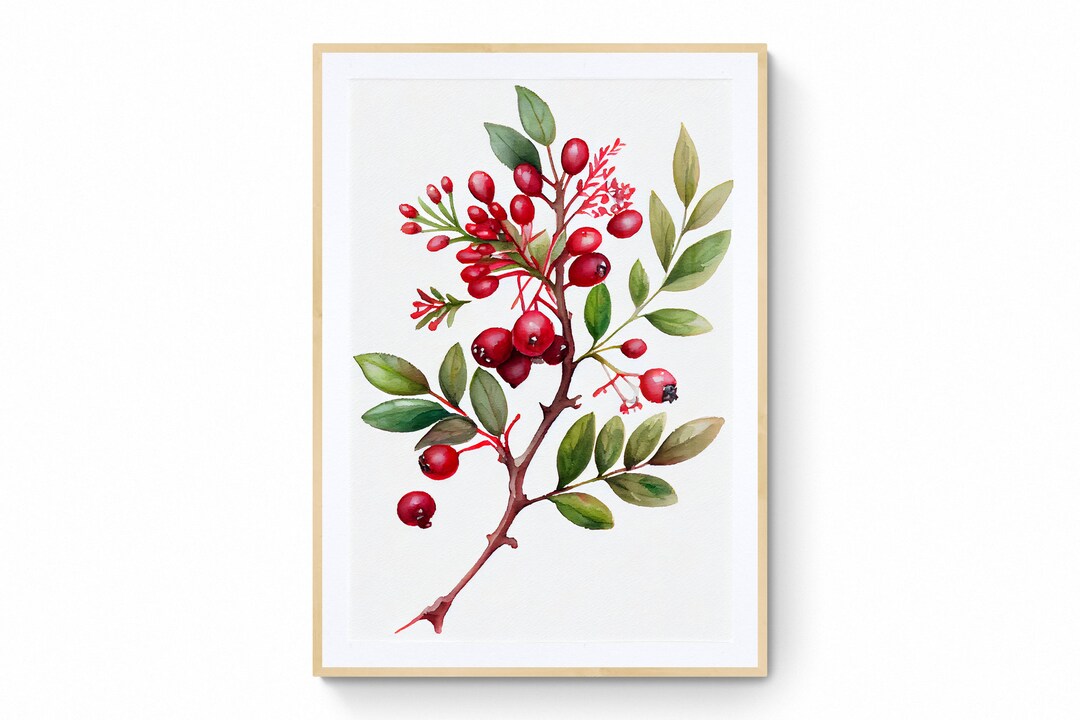 Cranberry Fruit Wall Art, Fruit Printable Art, Cranberry Print, Fruit ...