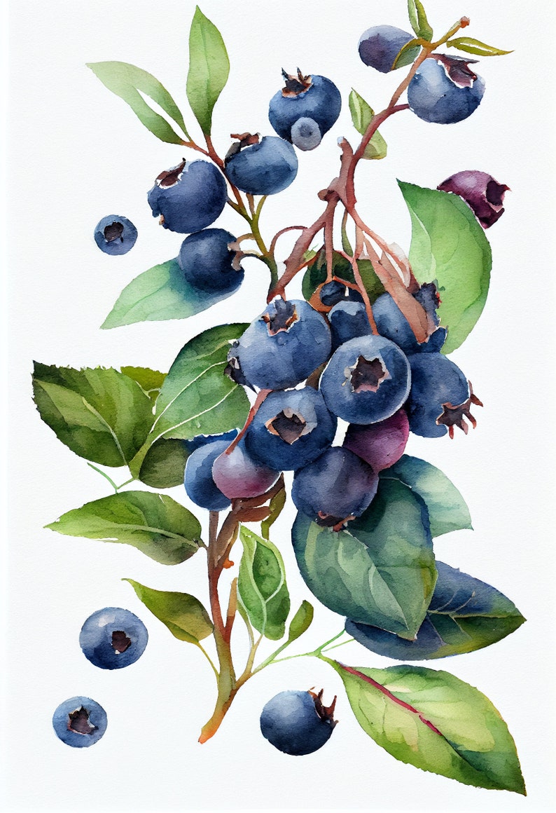 Blueberry Fruit Wall Art, Fruit Printable Art, Blueberry Print, Fruit ...