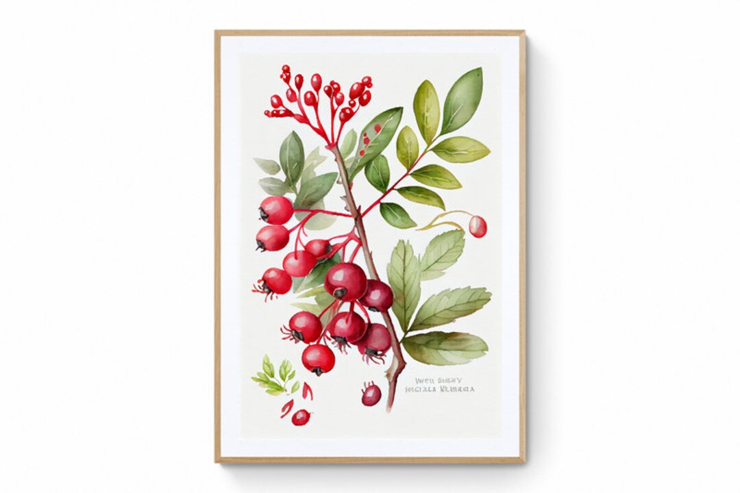 Cranberry Fruit Wall Art, Fruit Printable Art, Cranberry Print, Fruit ...