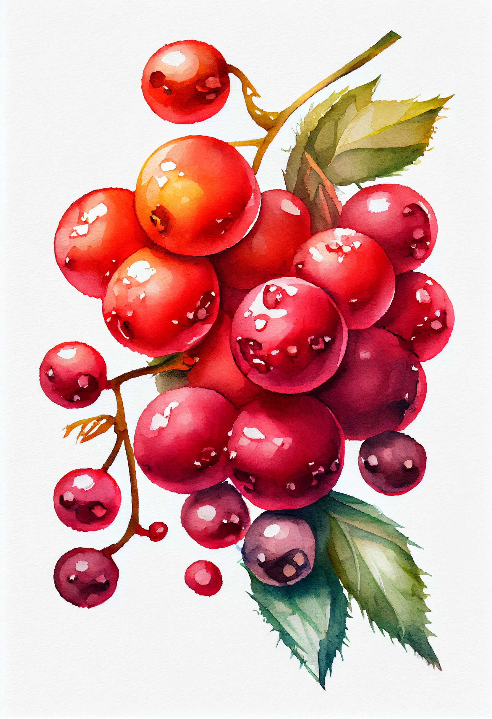 Cranberry Fruit Wall Art, Fruit Printable Art, Cranberry Print, Fruit ...