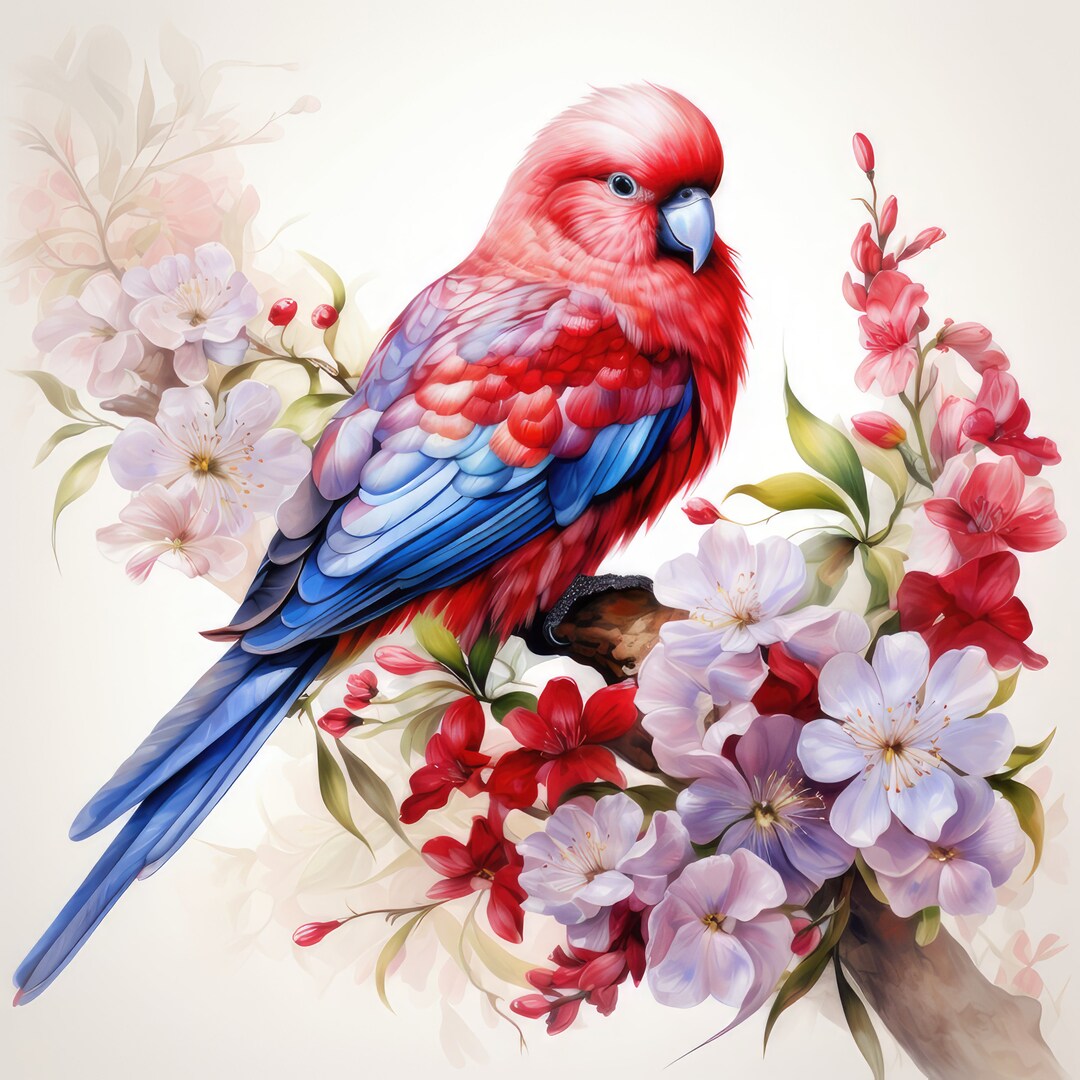Crimson Rosella Bird PNG Clipart, Bird Flowers PNG, Bird Watercolor ...