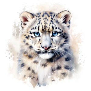 Cute Snow Leopard Clipart, 12 High Quality Jpgs | 300 DPI Digital ...