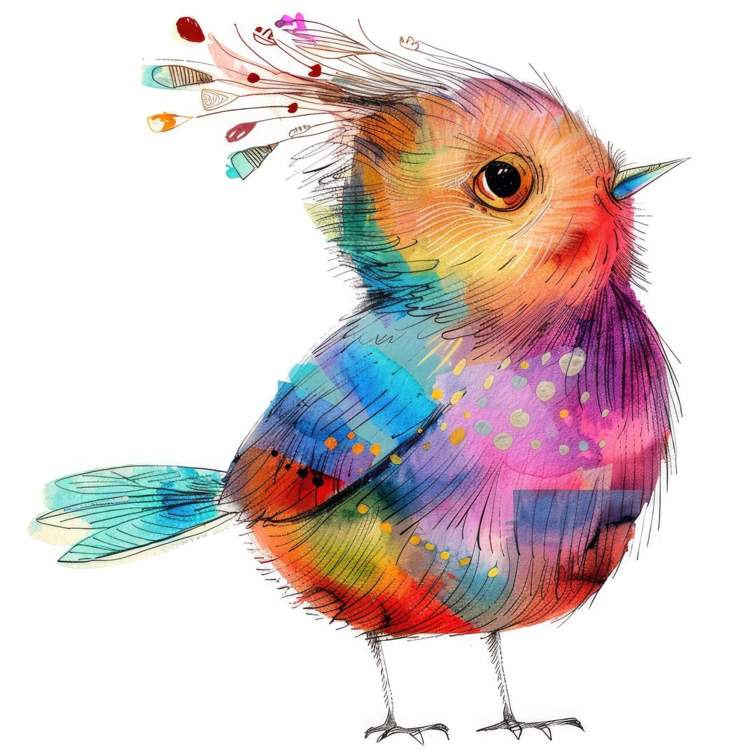 12 Whimsical Birds Clipart, Funny Watercolor Bird Illustration, Digital ...