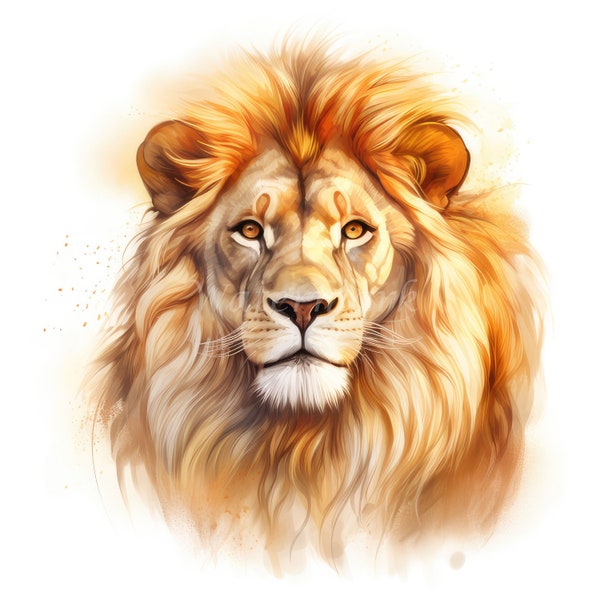 Lion Clipart - Etsy