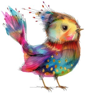 18 Whimsical Birds Clipart, Funny Birds, Digital Clipart, Watercolor ...