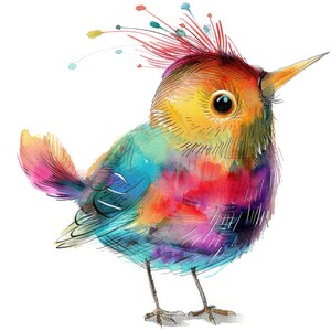 18 Whimsical Birds Clipart, Funny Birds, Digital Clipart, Watercolor ...