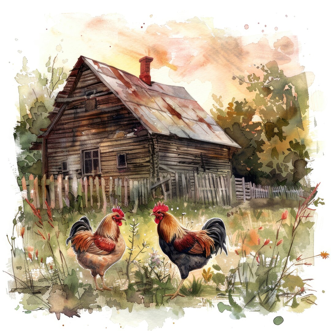 12 Farmyard Chickens Clipart, Printable Watercolor Clipart, 12 High ...