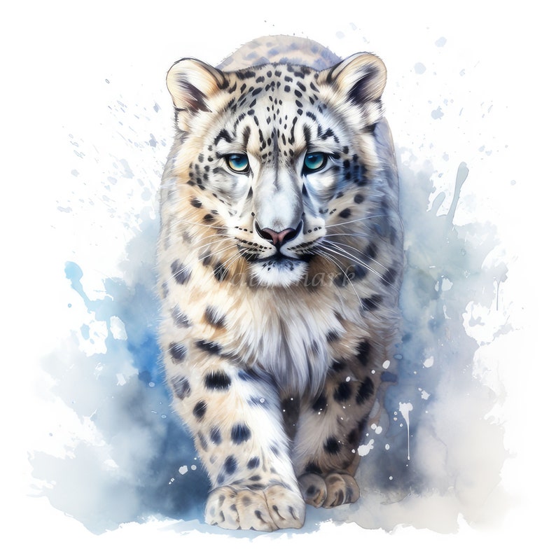 Cute Snow Leopard Clipart 12 High Quality Jpgs 300 DPI - Etsy