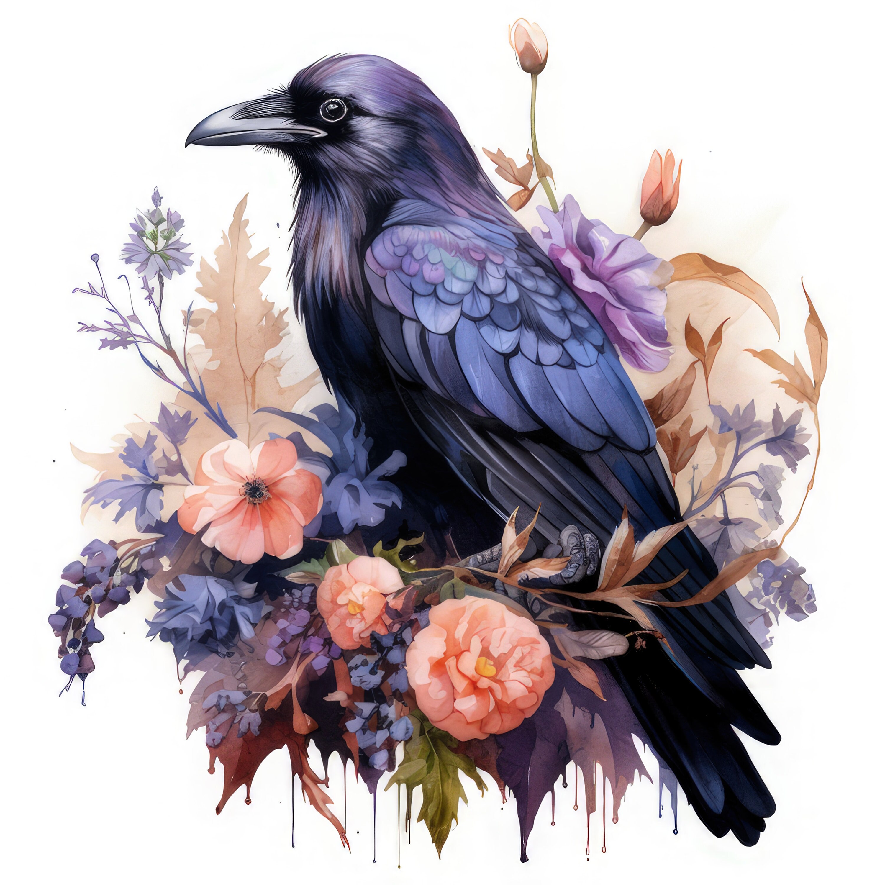 Raven With Flowers Clipart 12 High Quality Images 300 DPI - Etsy