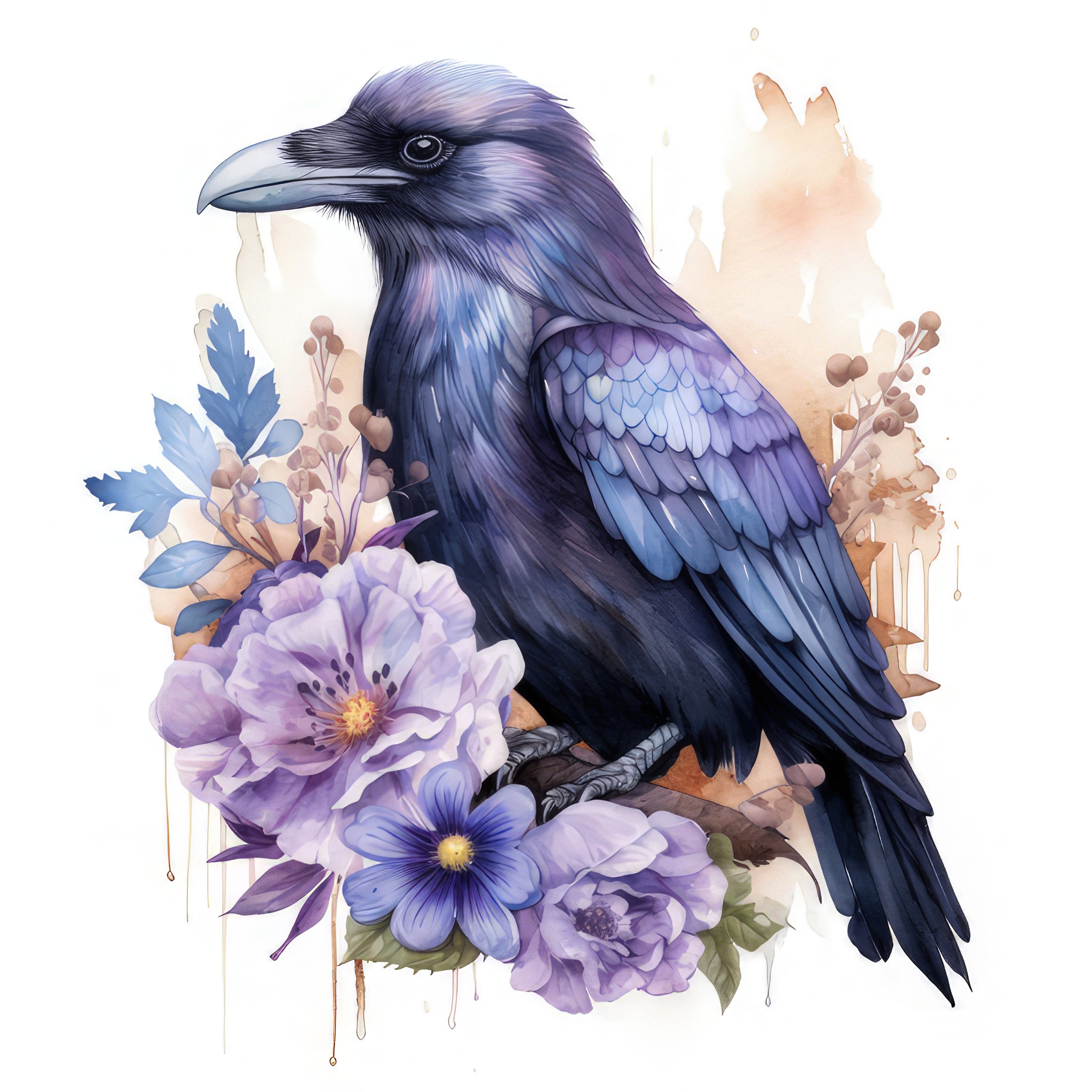 Raven With Flowers Clipart 12 High Quality Images 300 DPI - Etsy