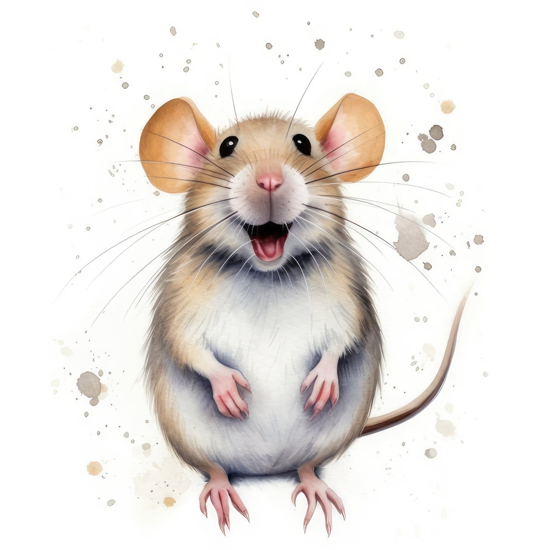 Cute Happy Rat Clipart, 12 High Quality Jpgs High Resolution 300 DPI ...
